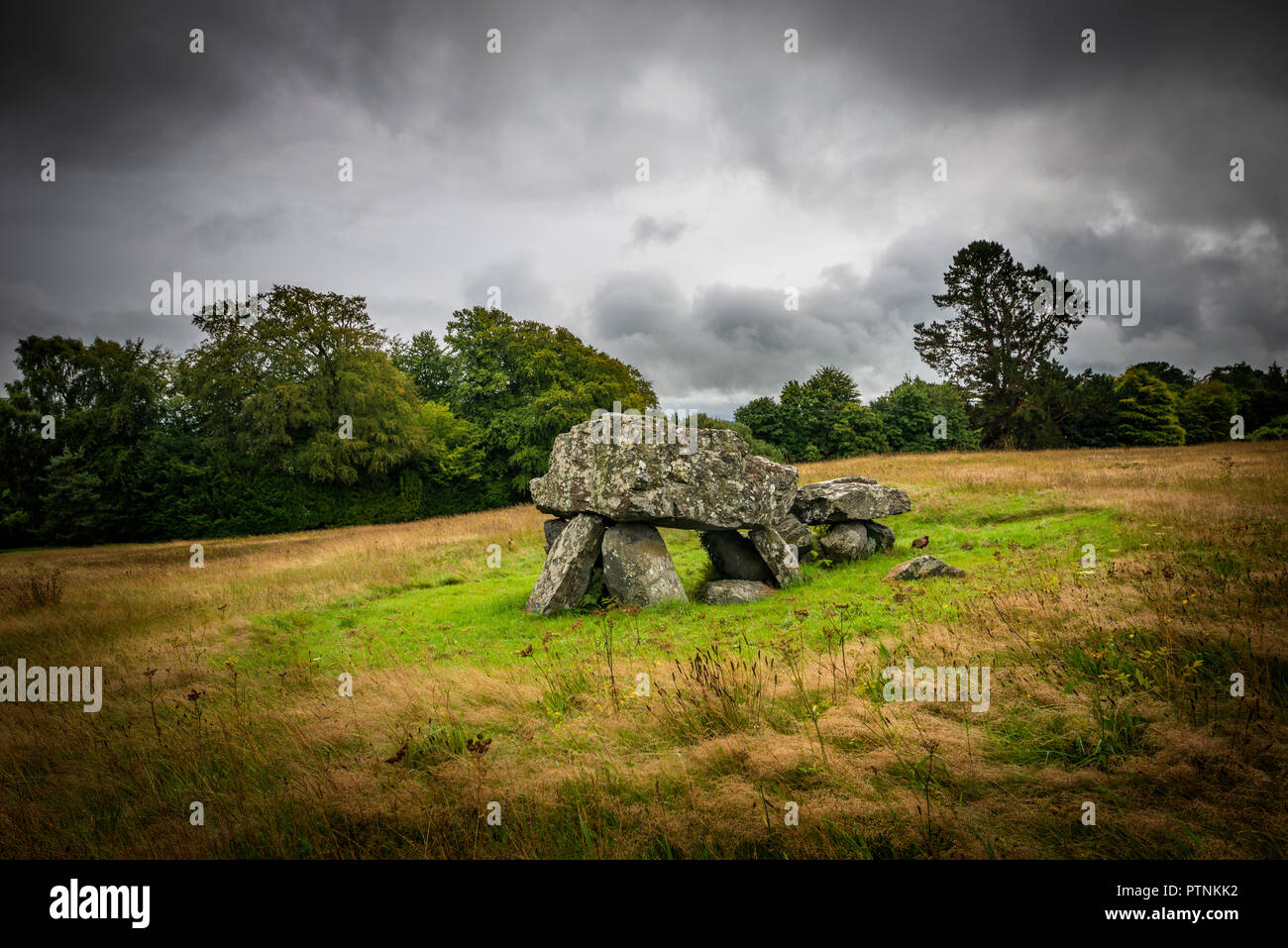 Double burial chamber wales hi-res stock photography and images - Alamy