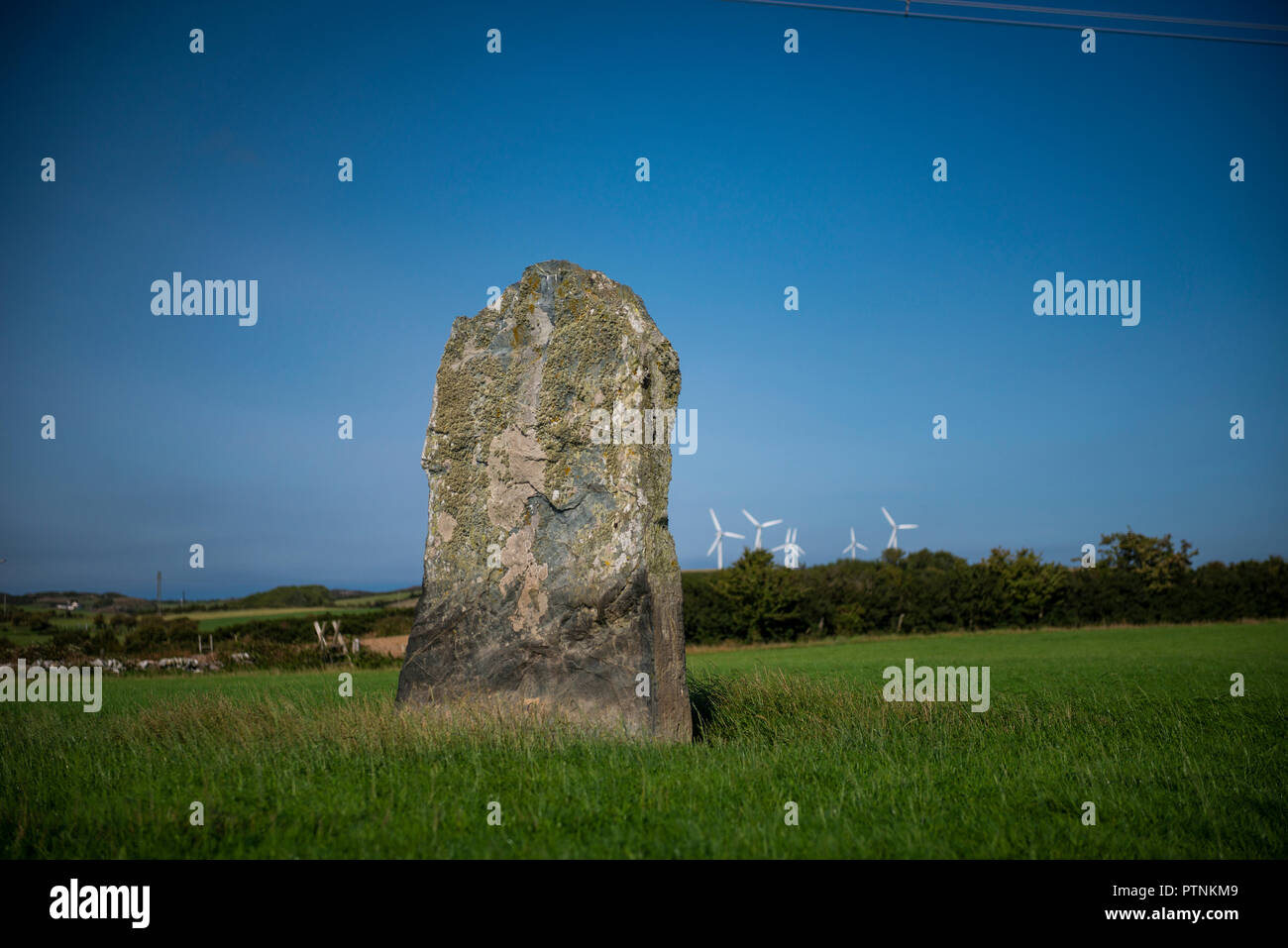 Llanfechell standing stone on Anglesey, Wales, UK Stock Photo - Alamy