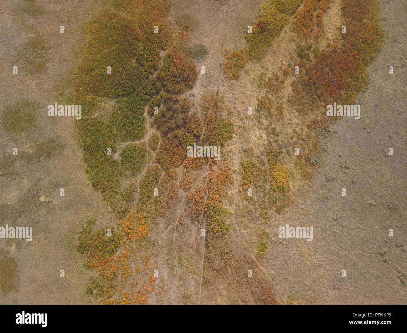 Abstract. Farm Field. Saskatchewan, Canada, Palliser Triangle, Brian ...