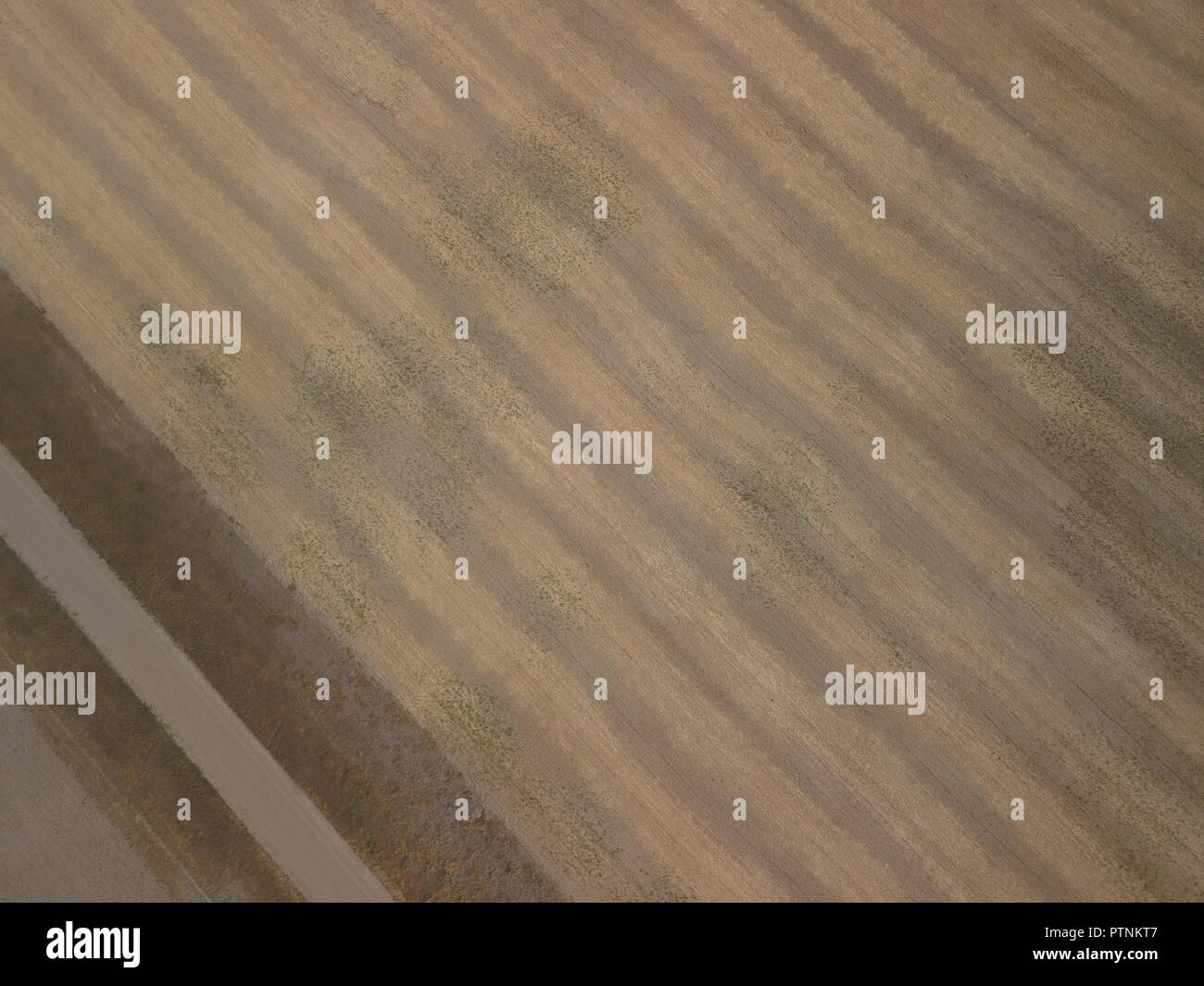 Saskatchewan wheat fields aerial hi-res stock photography and images ...