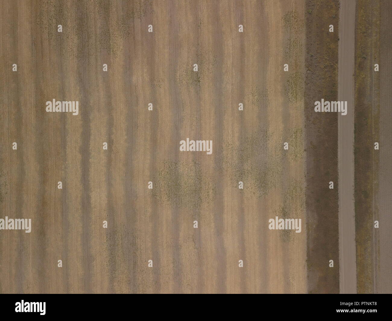 Abstract. Farm Field. Saskatchewan, Canada, Palliser Triangle, Brian ...