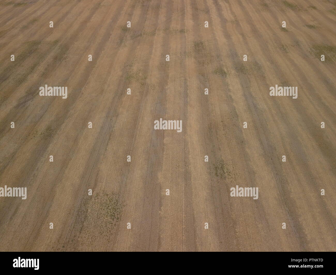 Saskatchewan wheat fields aerial hi-res stock photography and images ...