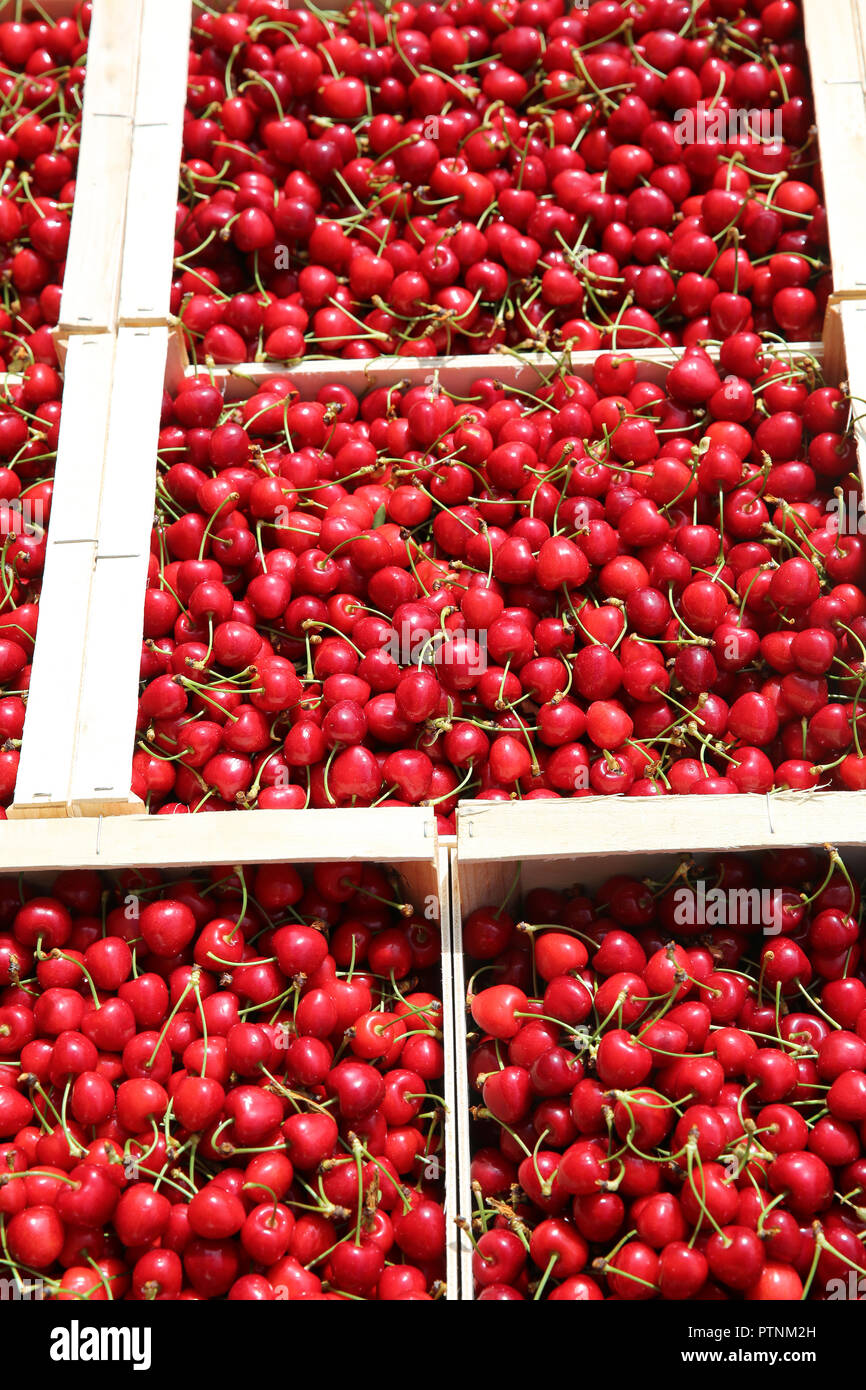 Cherries packed in crates Stock Photo - Alamy