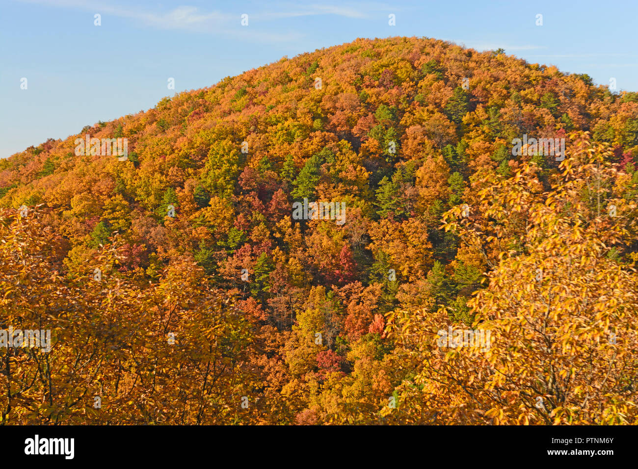 Fall Colors on a Mountain Peak along the Blue Ridge Parkway in Virginia ...