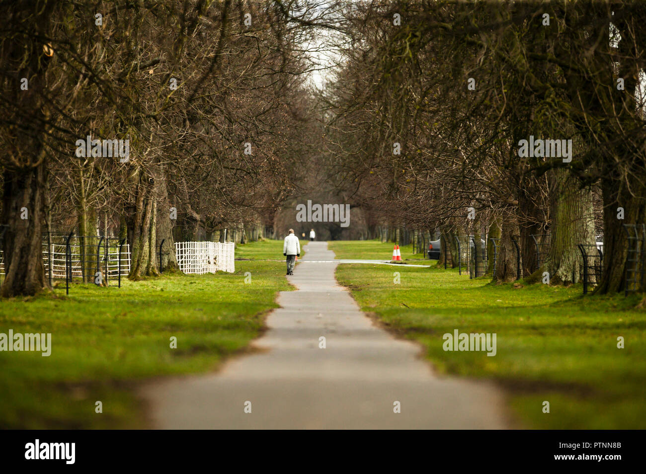 People walking on a long straight path between trees in the Phoenix ...