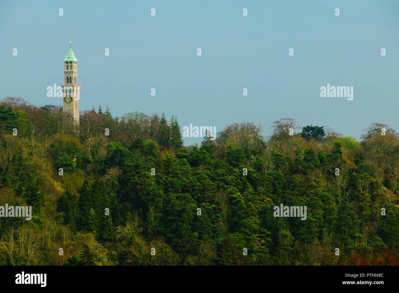 Farmleigh Clock Tower (c1880) surrounded by trees, Phoenix Park Dublin ...