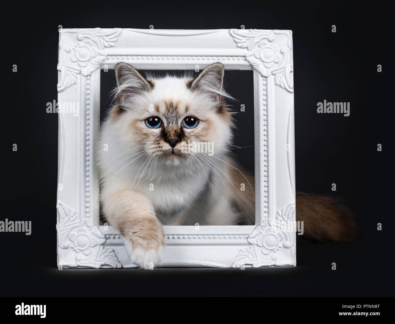 Stepping through frame hi-res stock photography and images - Alamy