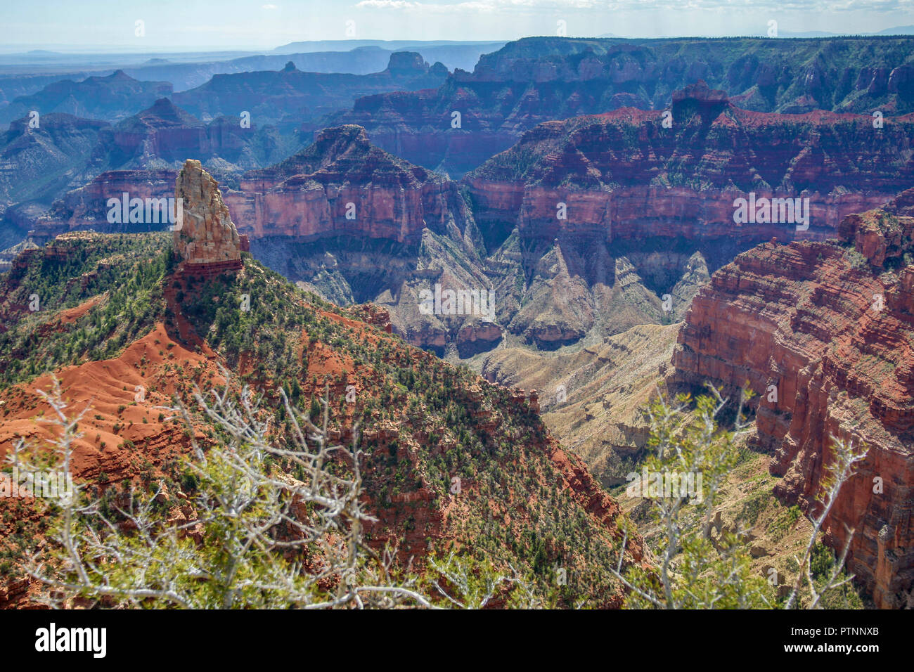 North Rim Grand Canyon Stock Photo - Alamy