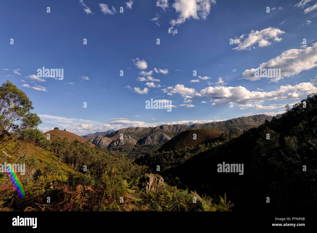 Spain landscape with eucalyptus forests and mountains Stock Photo - Alamy