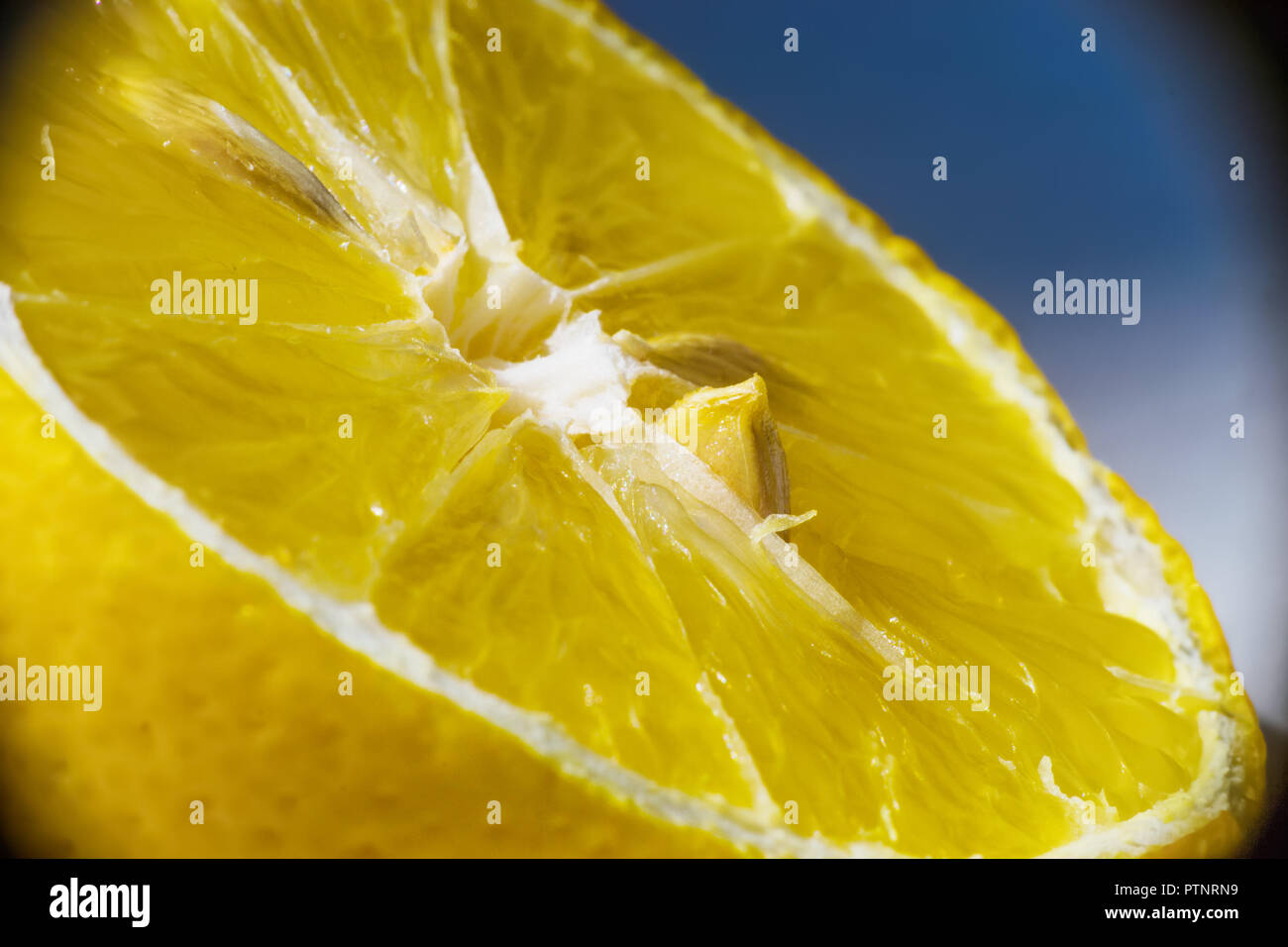 Extreme close up of a lemon half Stock Photo - Alamy