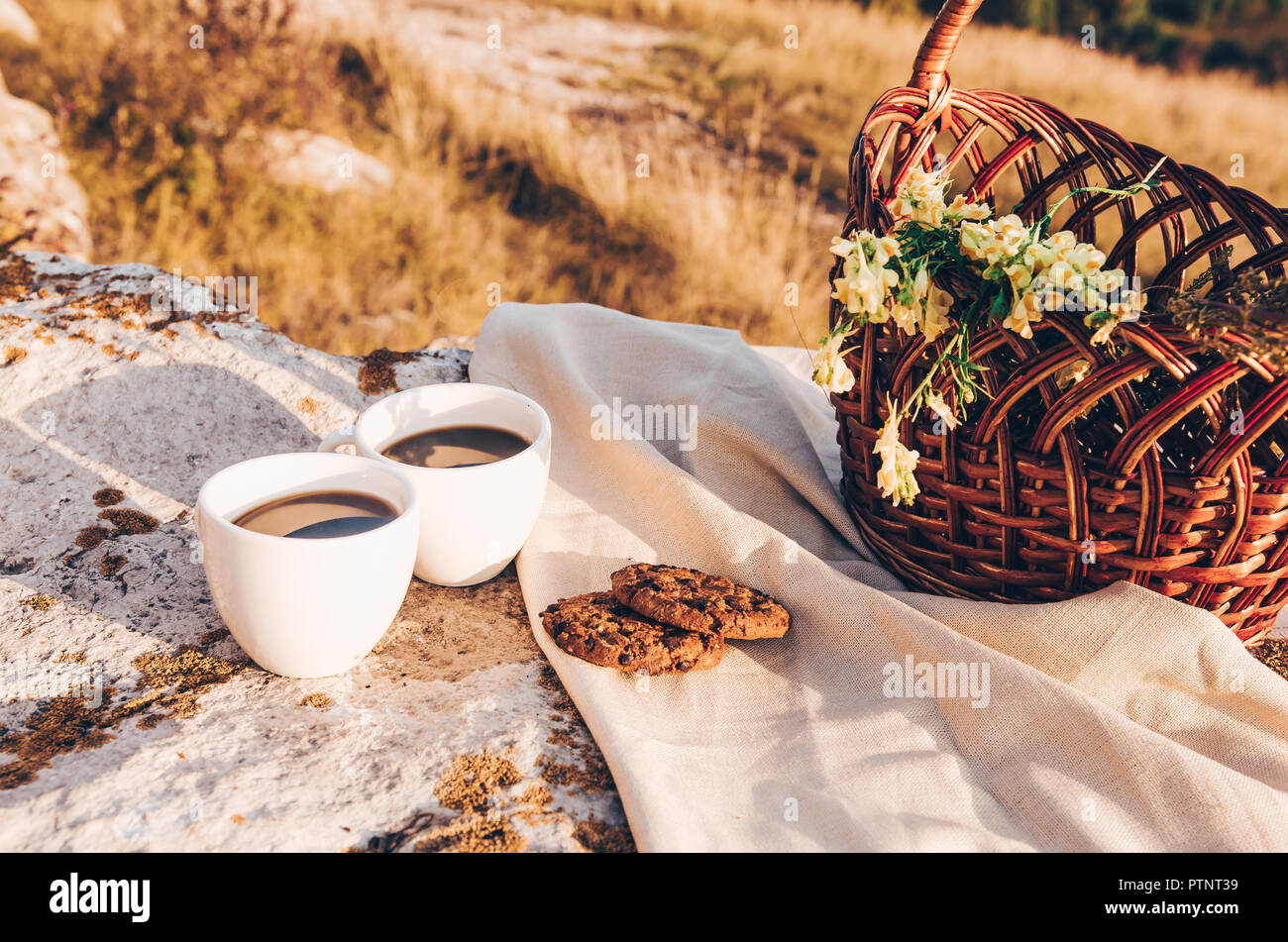Picnic in nature. Two coffee cups and chocolate chip cookies Stock ...
