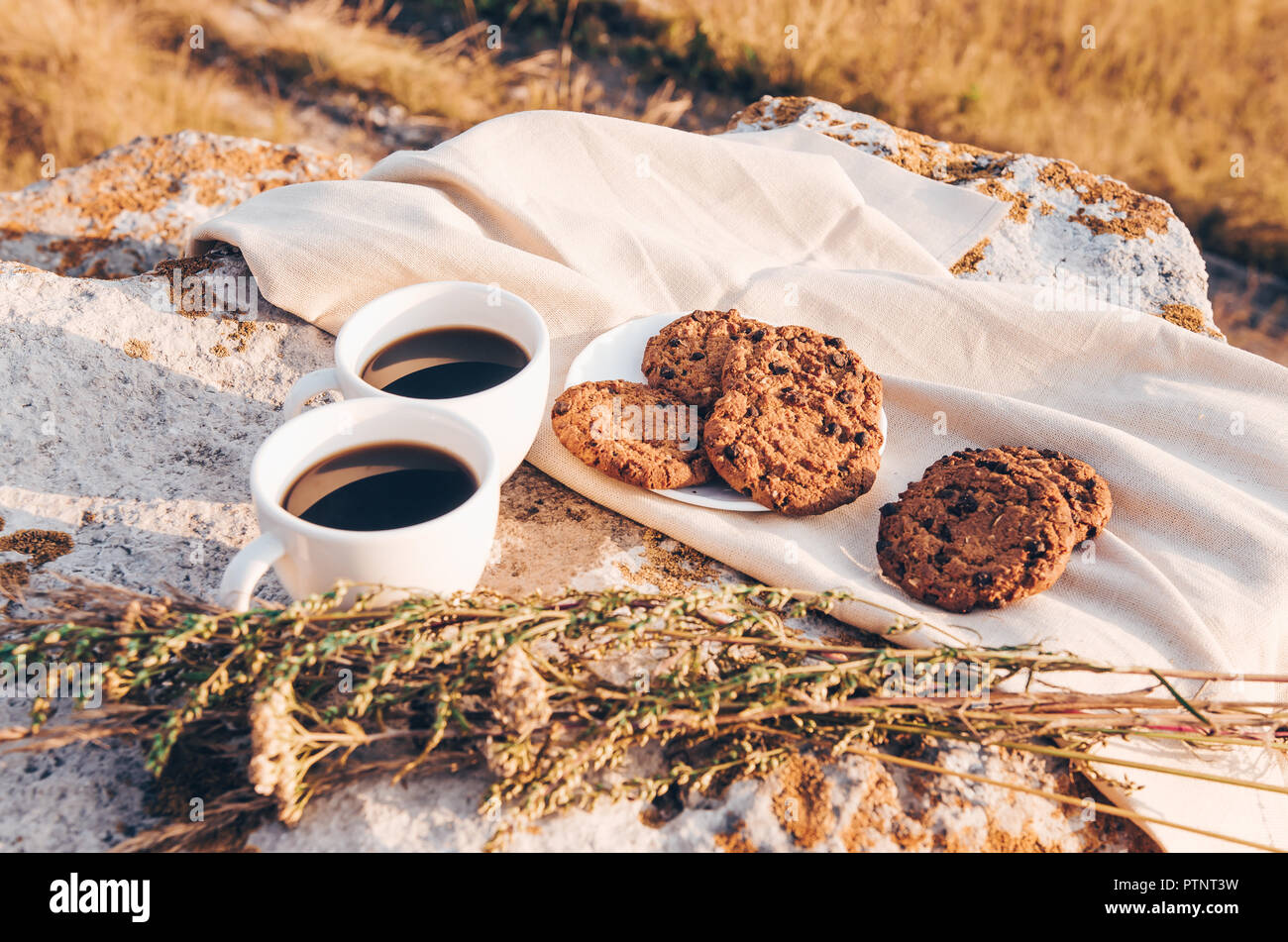 Picnic in the countryside. Two coffee cups, homemade cookies and dry ...