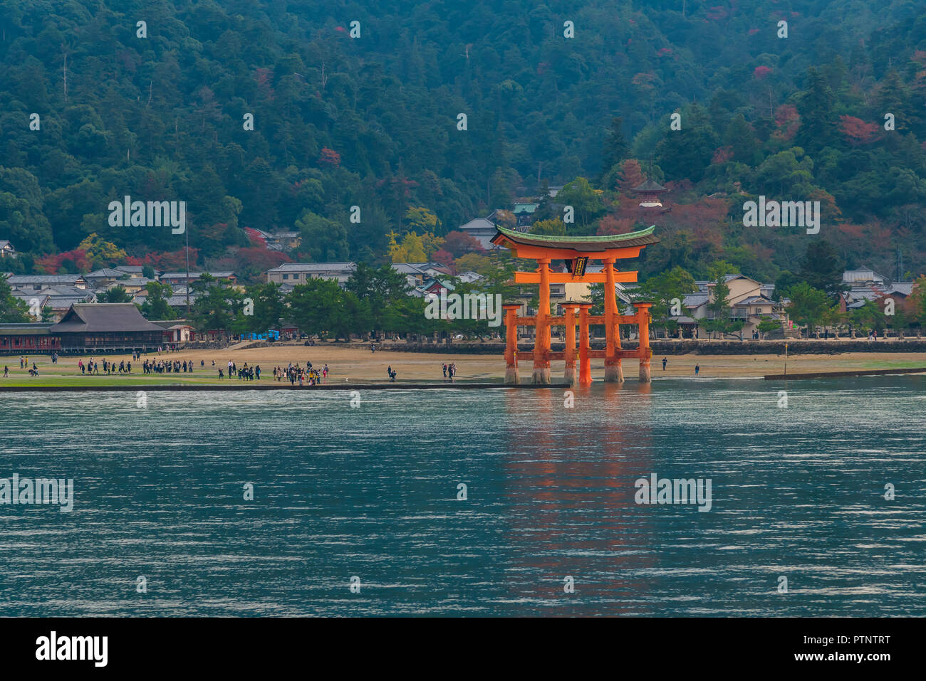 The great Torii gate on Miyajima island is listed as a UNESCO World ...