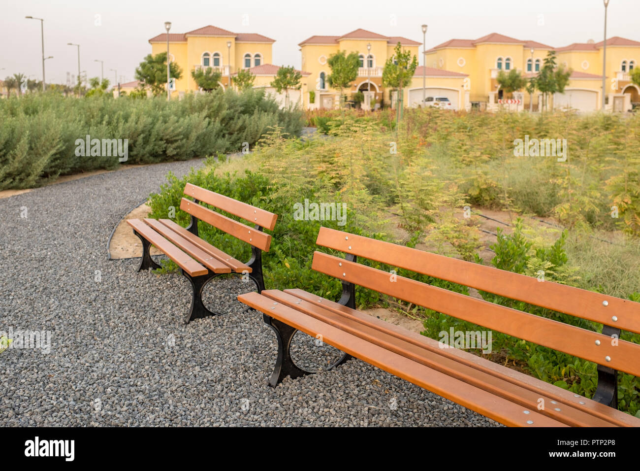 Landscape public area in the Jumeirah Park residential estate, Dubai ...