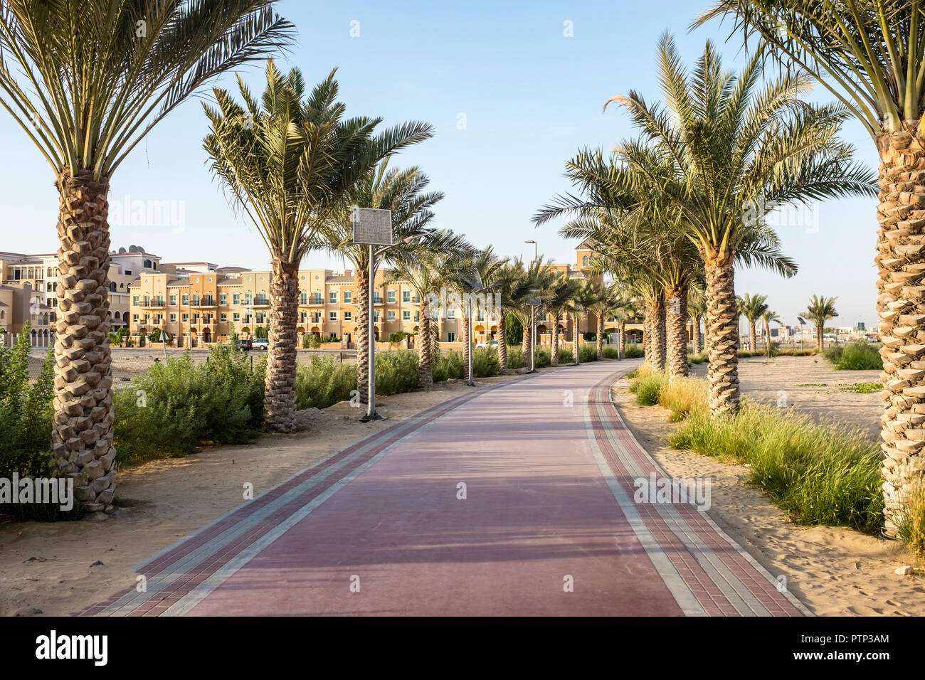 Running track lined with palm trees in Jumeirah Village Circle district ...