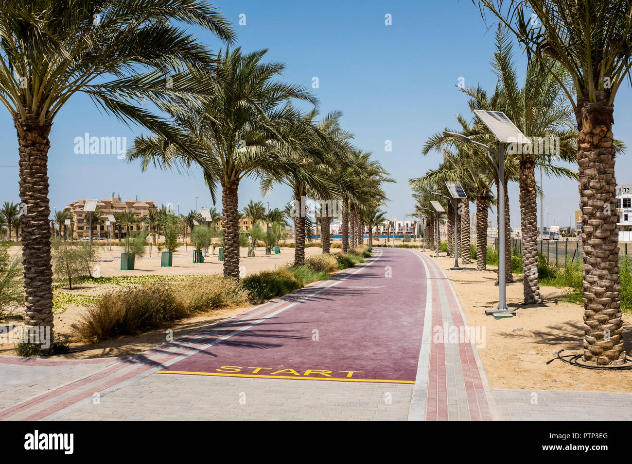 Palm-lined running track in Jumeirah Village Circle district of Dubai ...