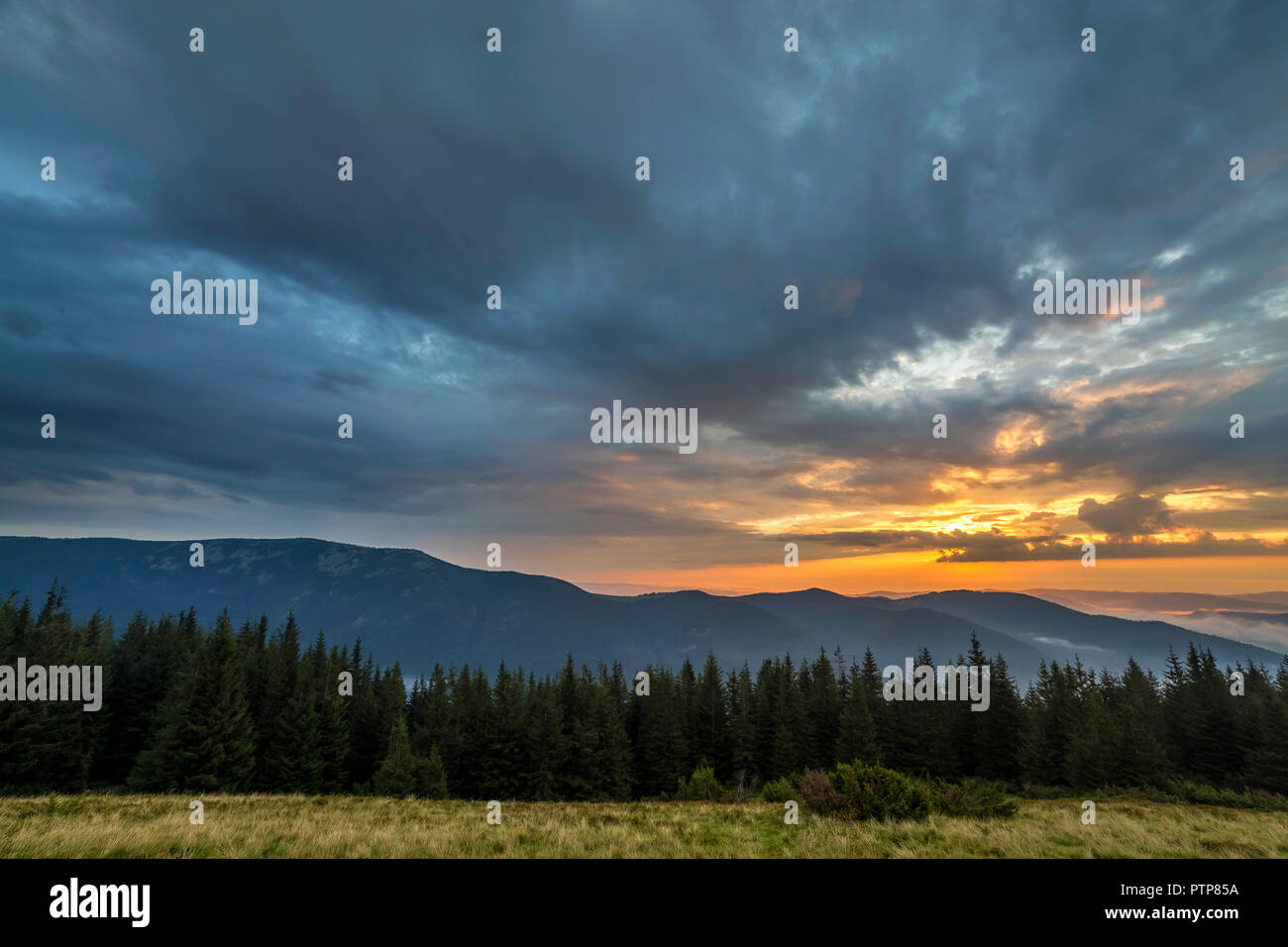 Mountain landscape at sunset. Panoramic summer view of green grassy ...