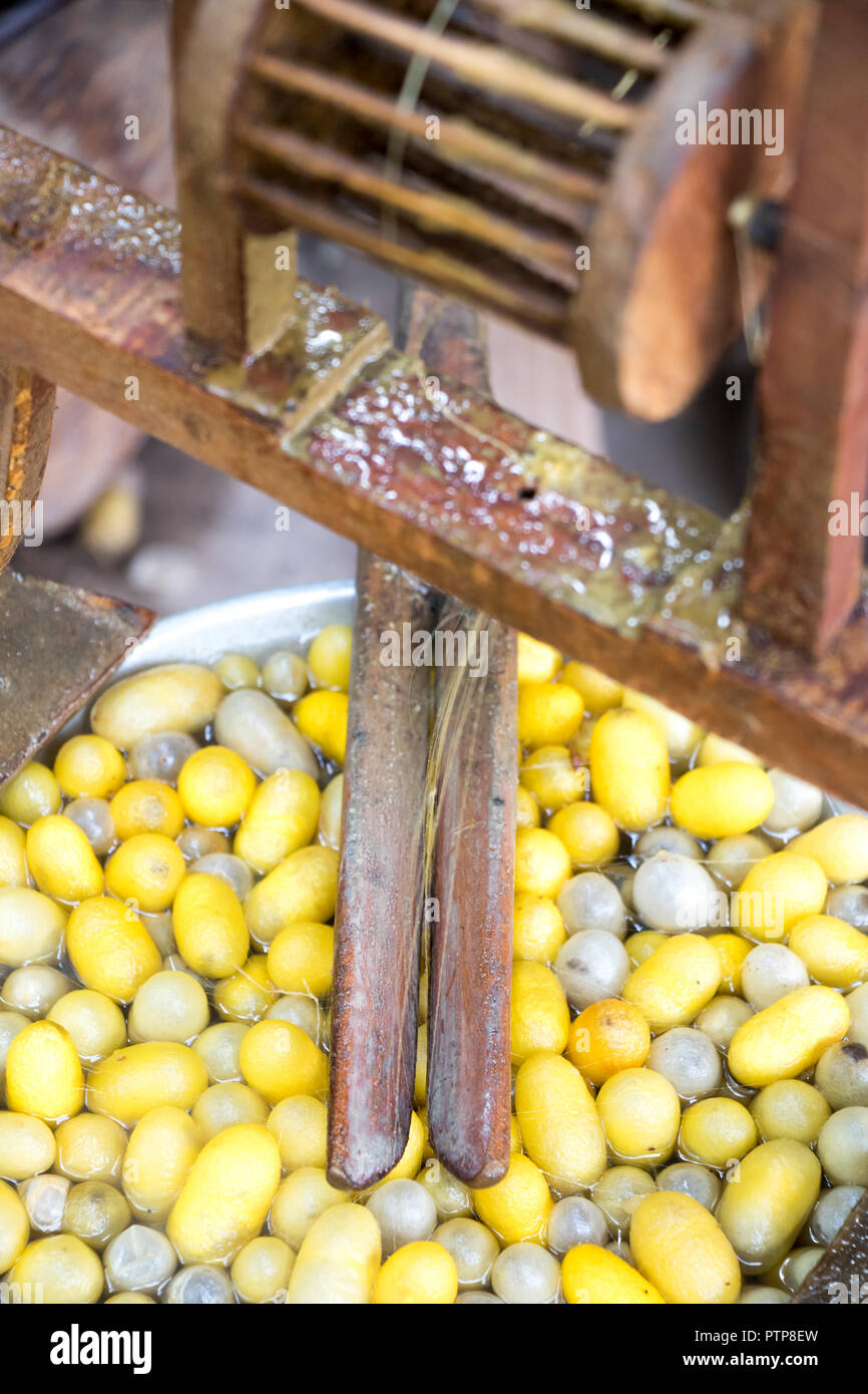 Reeling silk of cocoon hi-res stock photography and images - Alamy