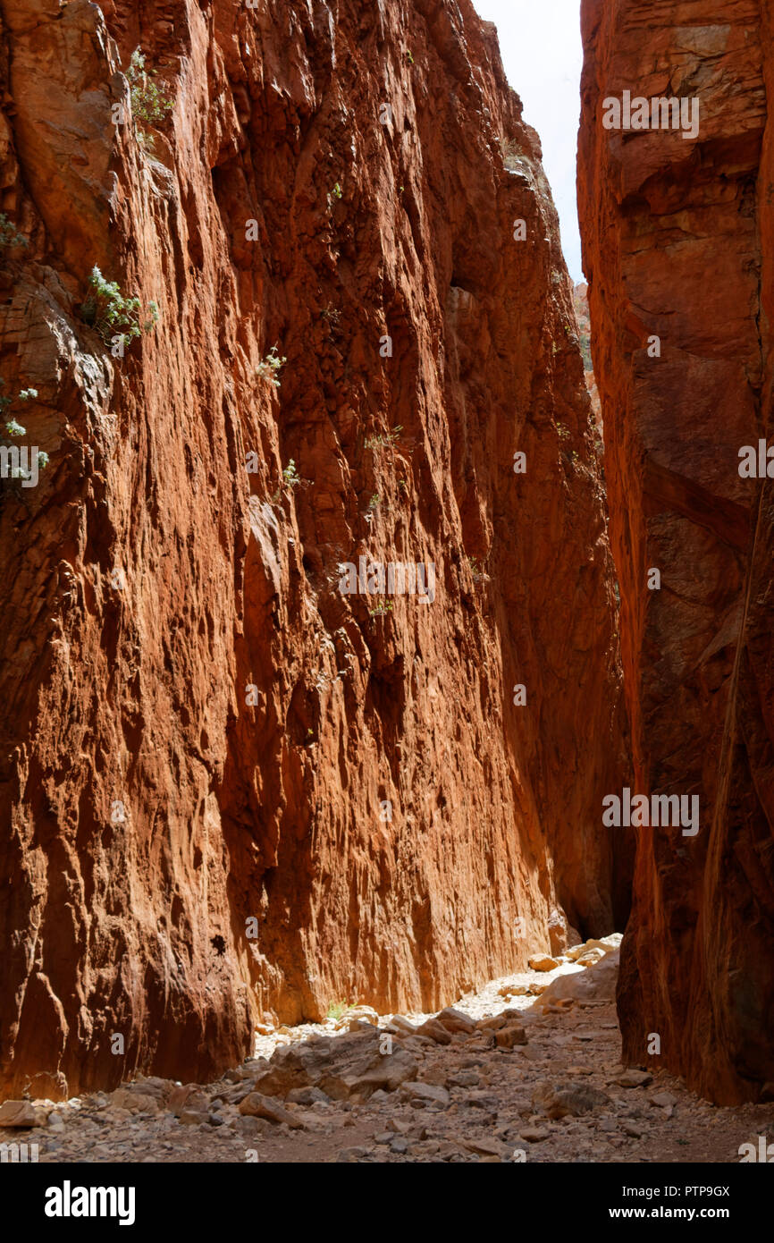 Standleys hi-res stock photography and images - Alamy