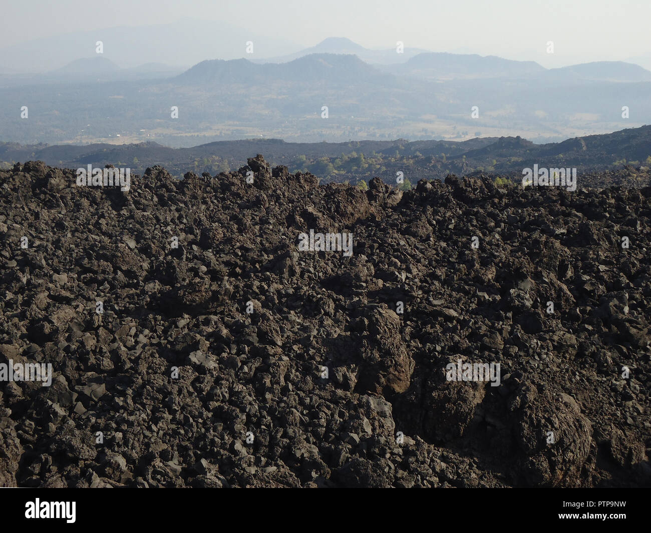 Lava field near the Paricutin volcano in Mexico Stock Photo - Alamy