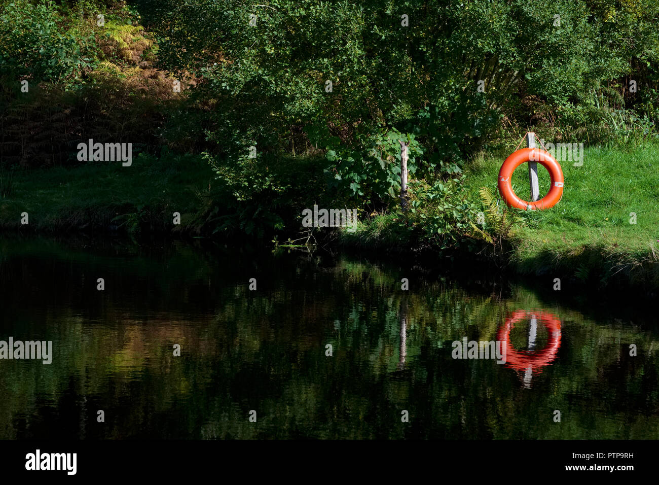 Quick sand letters on beach Stock Photo - Alamy