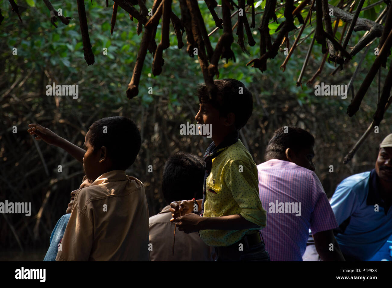 Kids at Pichavaram Mangrove Forest! Stock Photo - Alamy Kids at Pichavaram Mangrove Forest! Stock Photo - Alamy