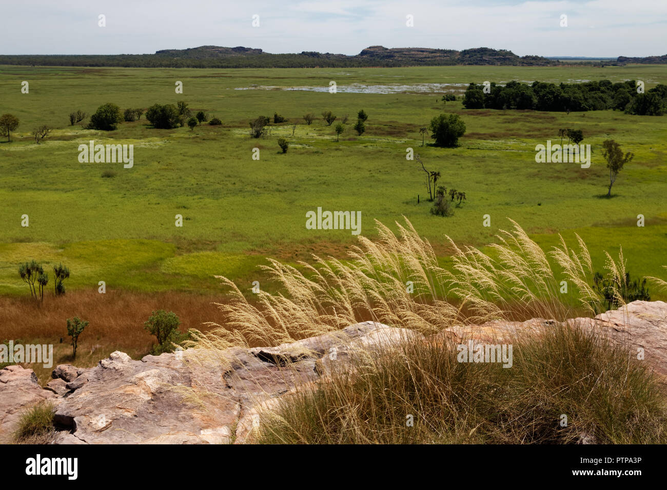 Green expanse - view from Ubirr Stock Photo - Alamy