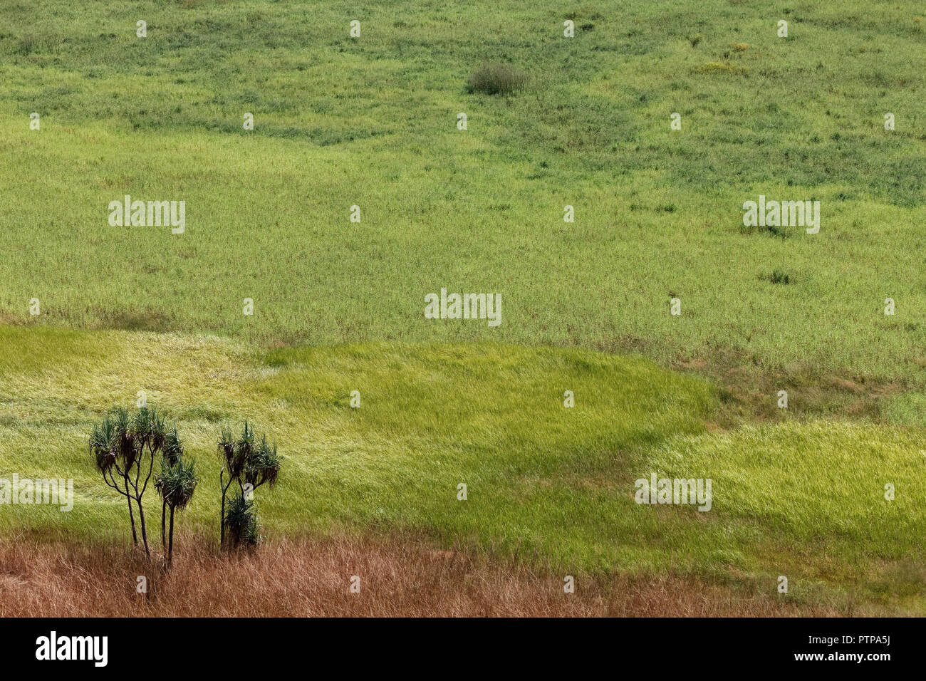 Aquatic expanse hi-res stock photography and images - Alamy
