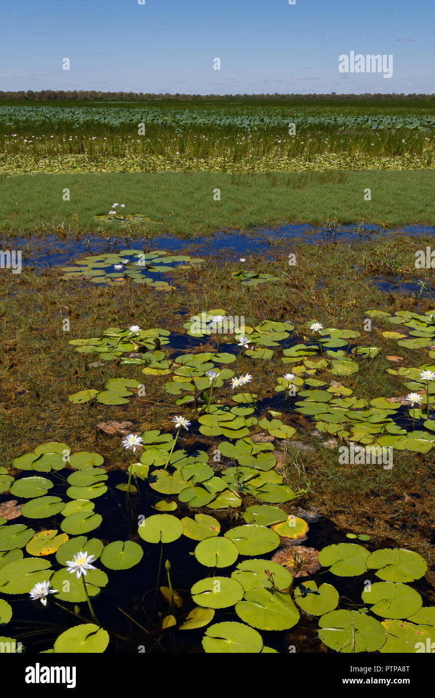 A billabong 2 Stock Photo - Alamy