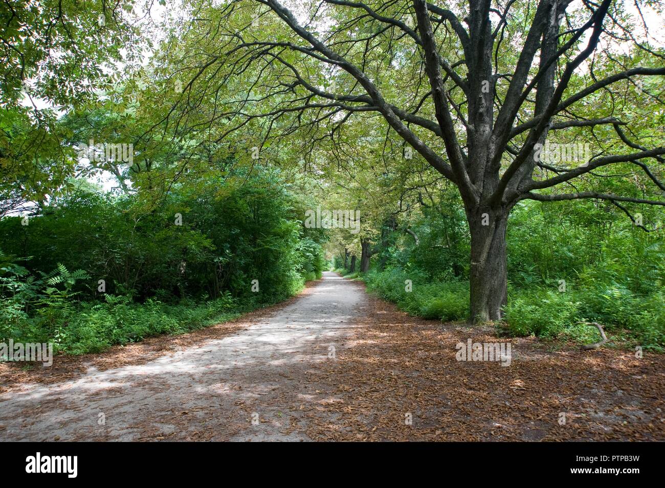 Nationalpark nationalpark donauauen hi-res stock photography and images ...