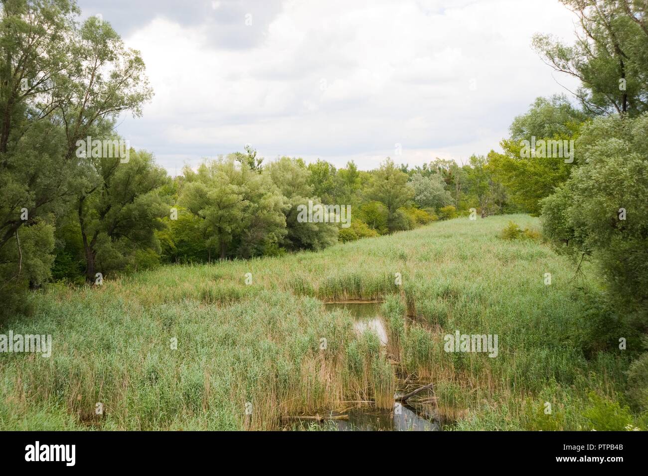 Nationalpark nationalpark donauauen hi-res stock photography and images ...