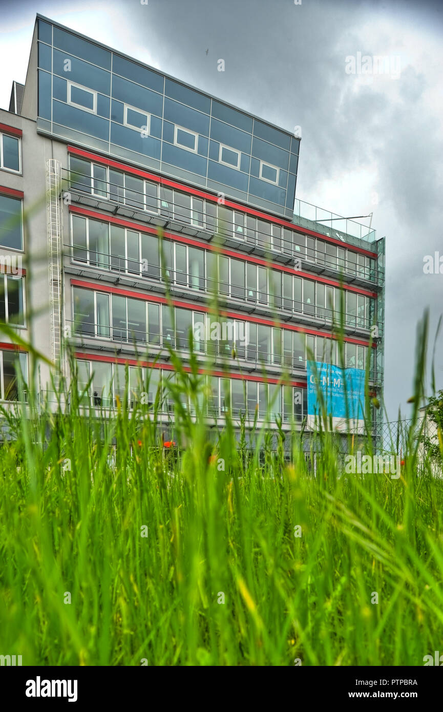 Molekulare medizin hi-res stock photography and images - Alamy