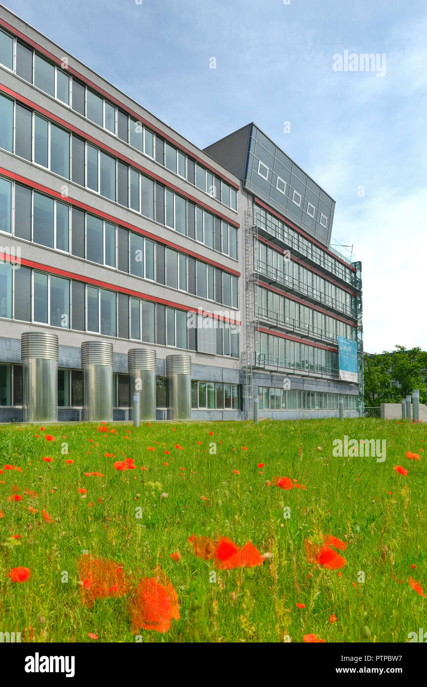 Wien, CeMM, Centrum für molekulare Medizin im Wiener AKH Stock Photo ...