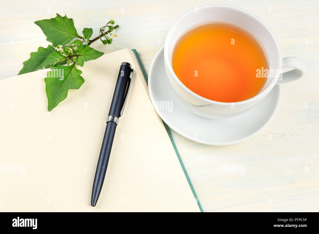 A photo of an open journal with a branch with green leaves, a pen and a ...
