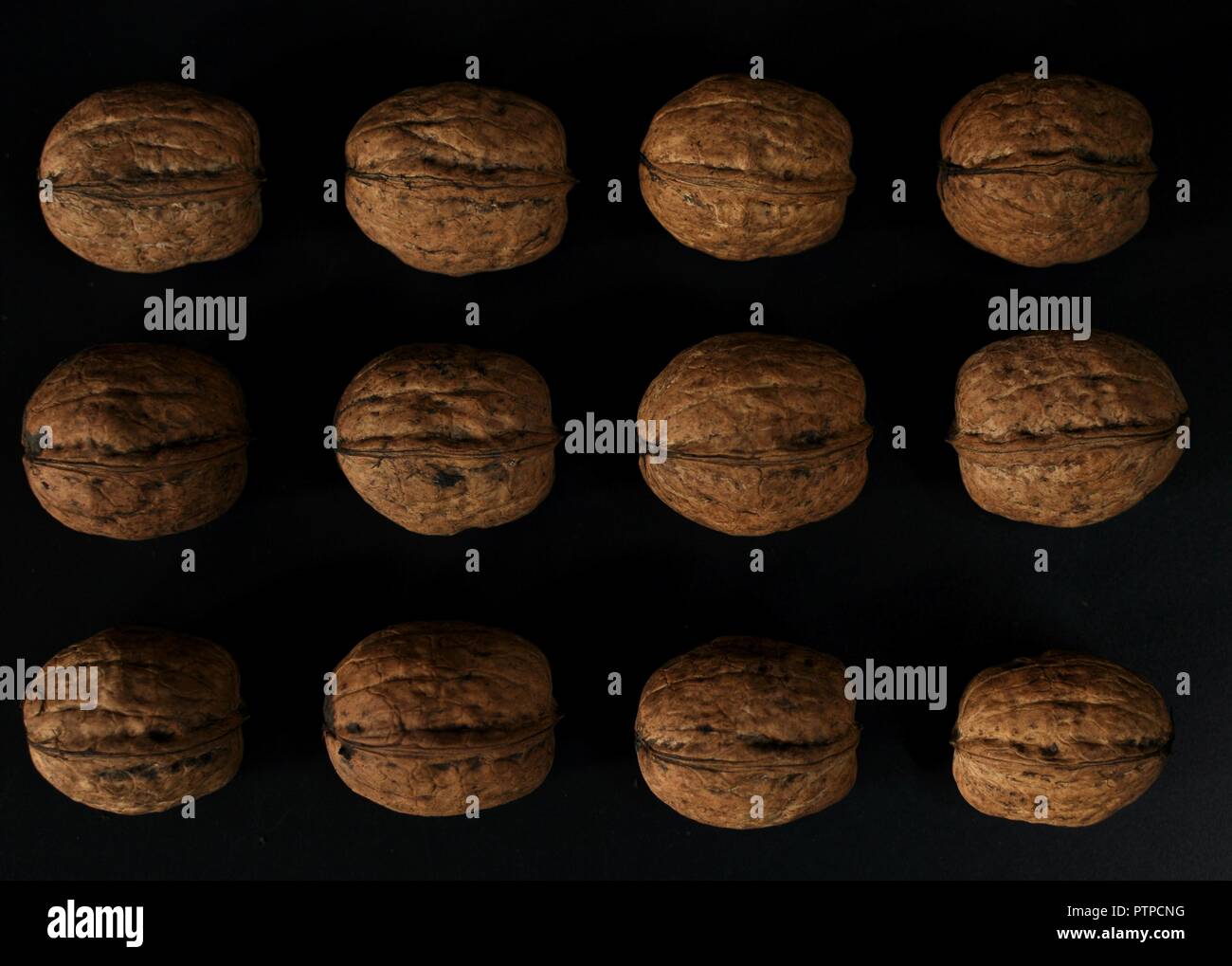 Decorative background for graphic resources with pattern nuts in shell ...