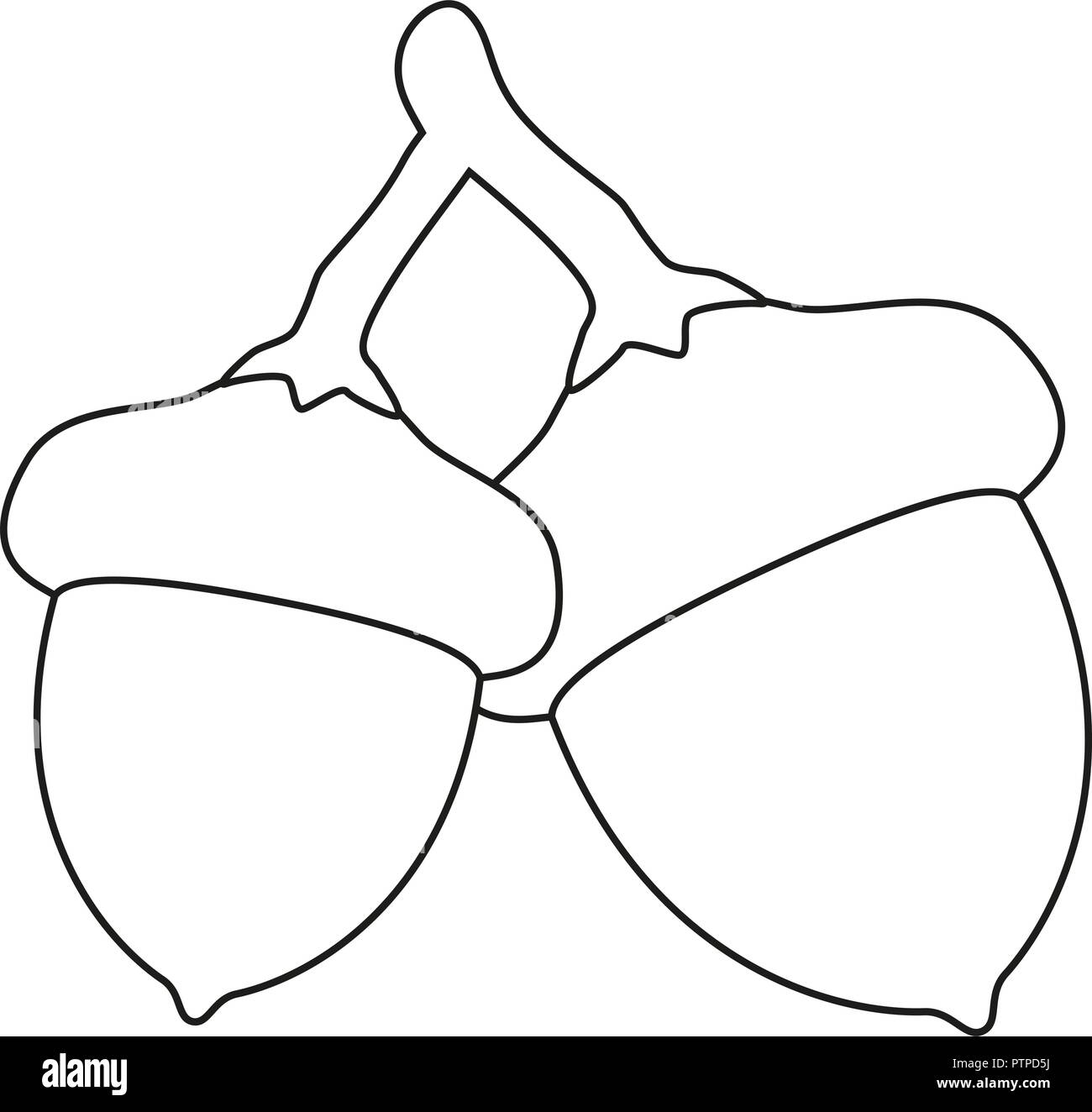 Oak nut illustration vector Black and White Stock Photos & Images - Alamy