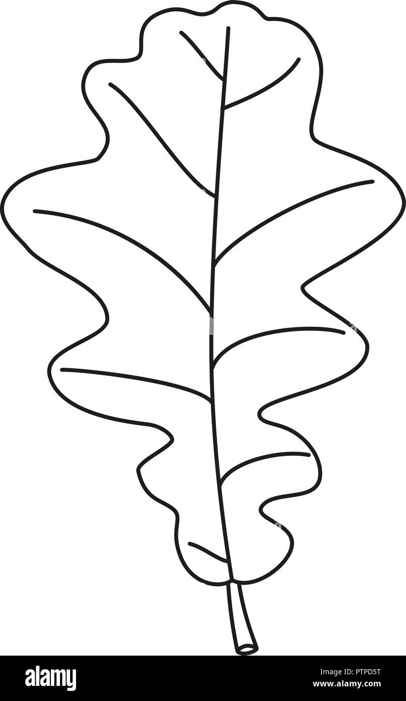 Asymmetrical Black and White Stock Photos & Images - Alamy