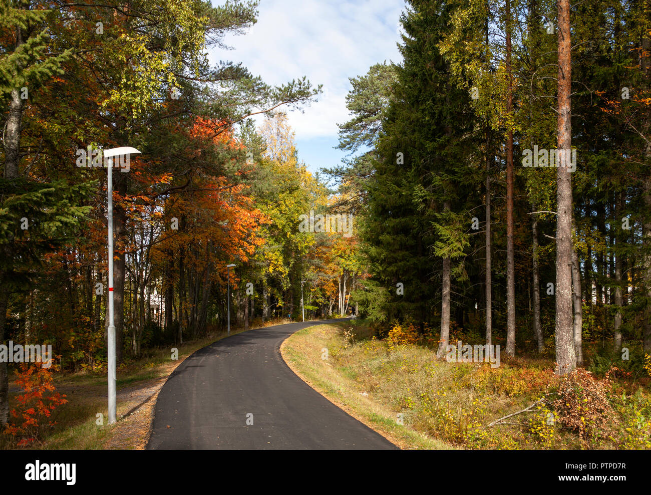 Beautiful, colorful trees and bushes this side buildings in an urban ...