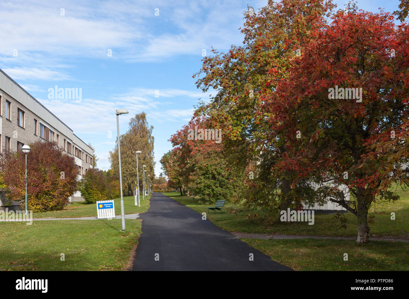 Beautiful, colorful trees and bushes this side buildings in an urban ...