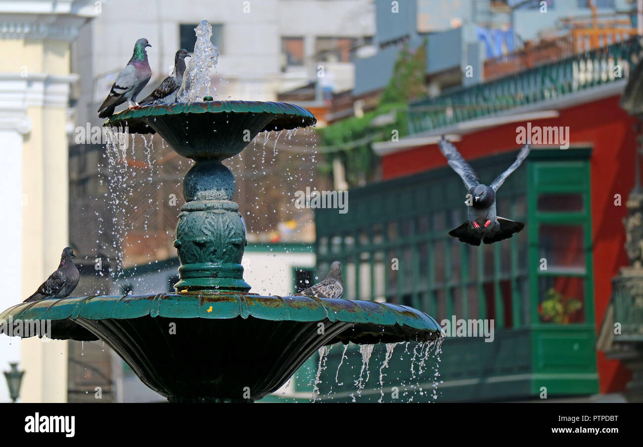 One freedom square hi-res stock photography and images - Alamy