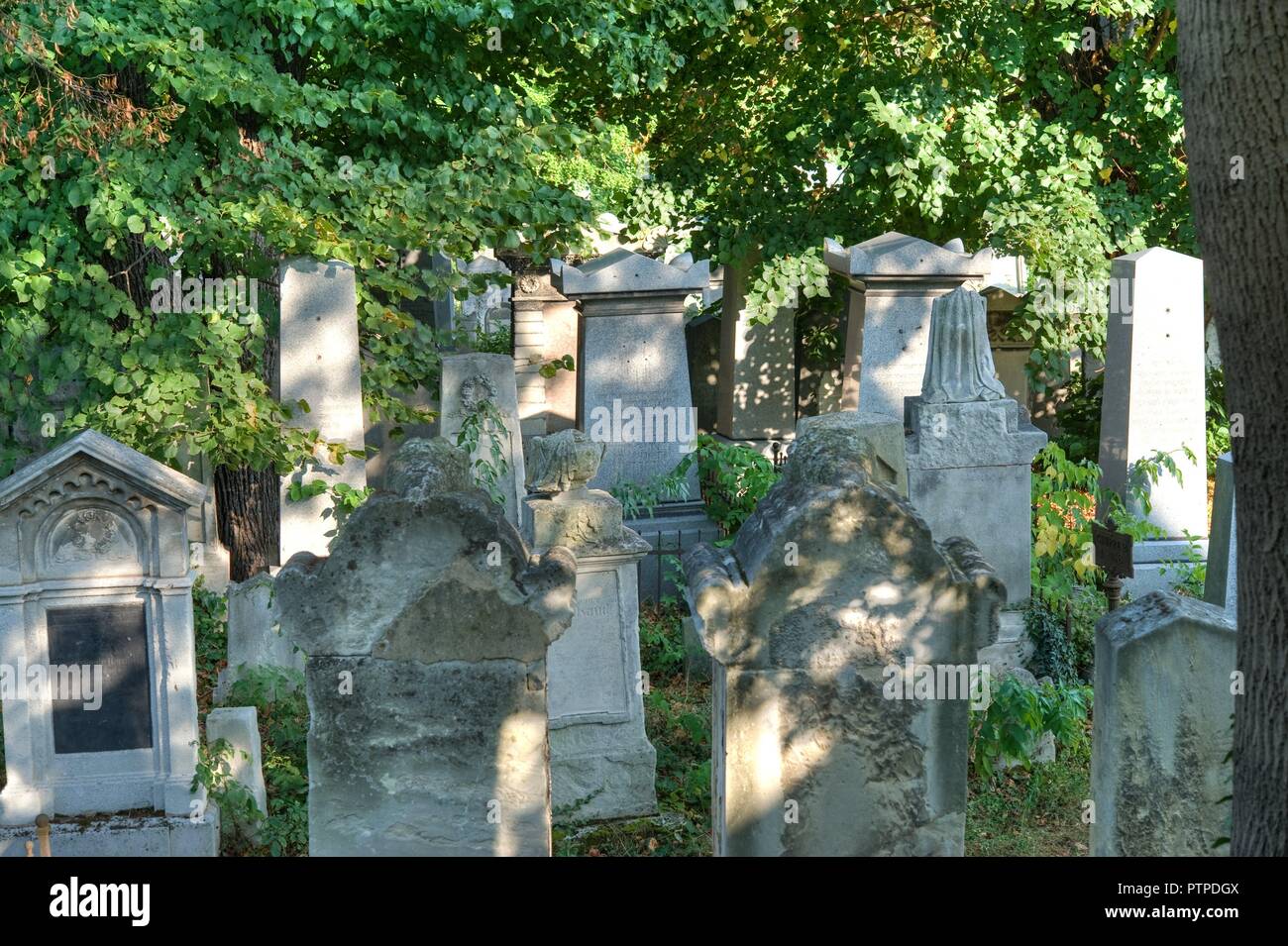 Wahring vienna hi-res stock photography and images - Alamy