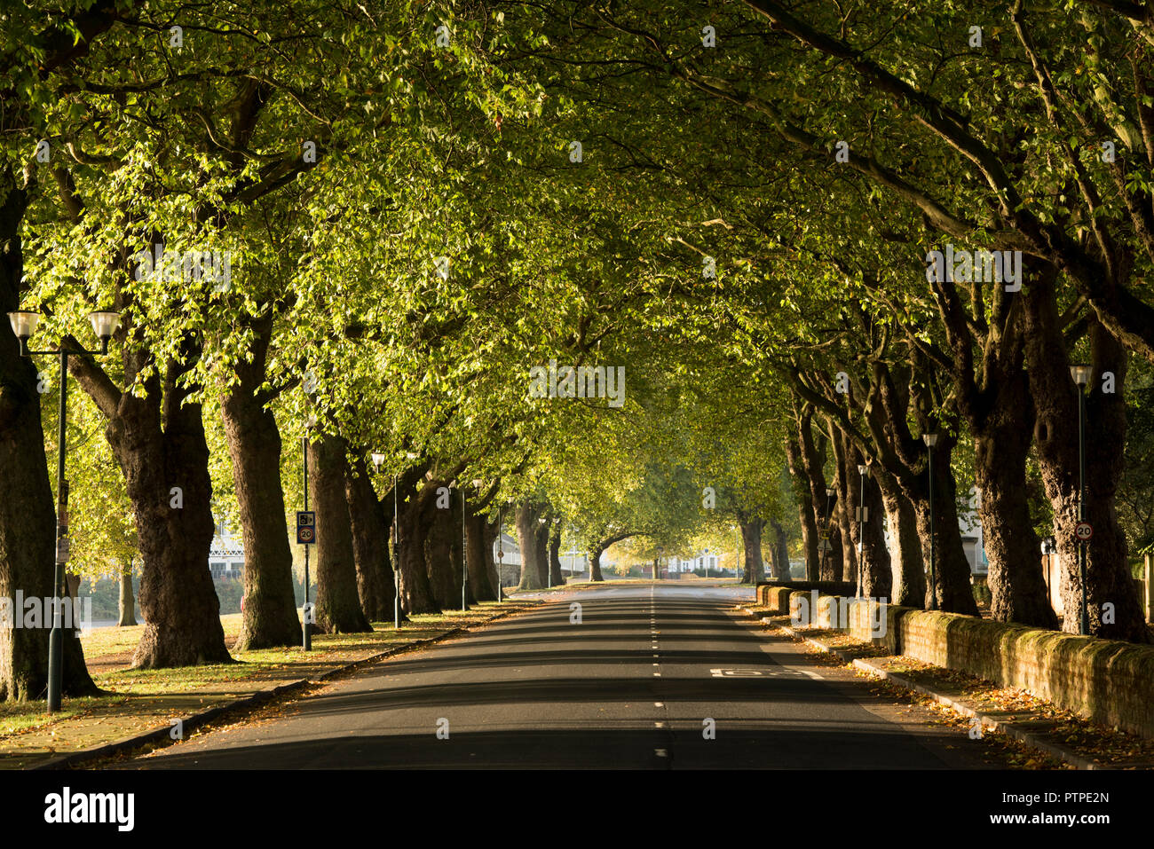 Autumnal trees at Victoria Embankment in Nottingham, Nottinghamshire ...