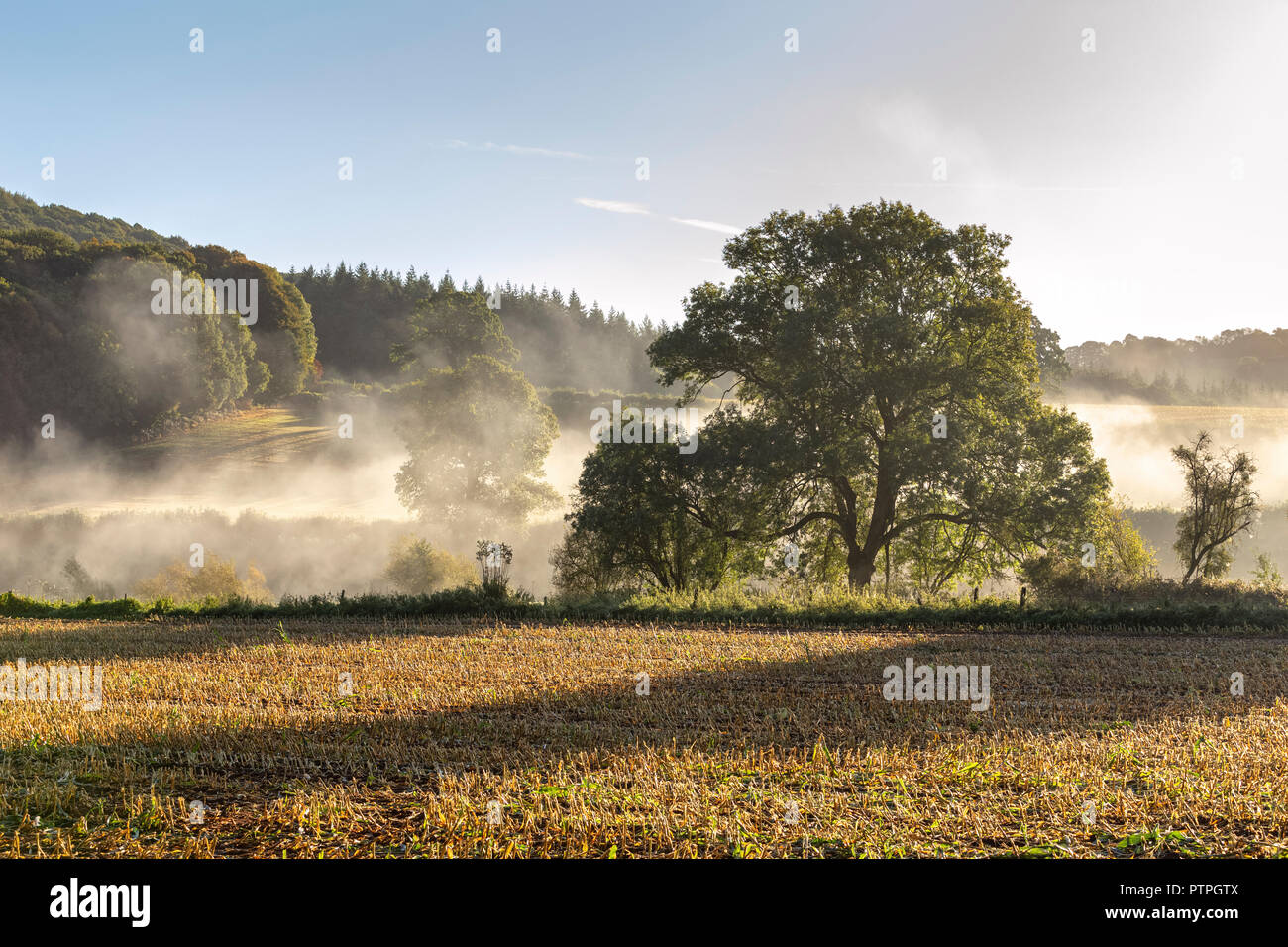 Morning mist in the lower Wye valley Stock Photo - Alamy