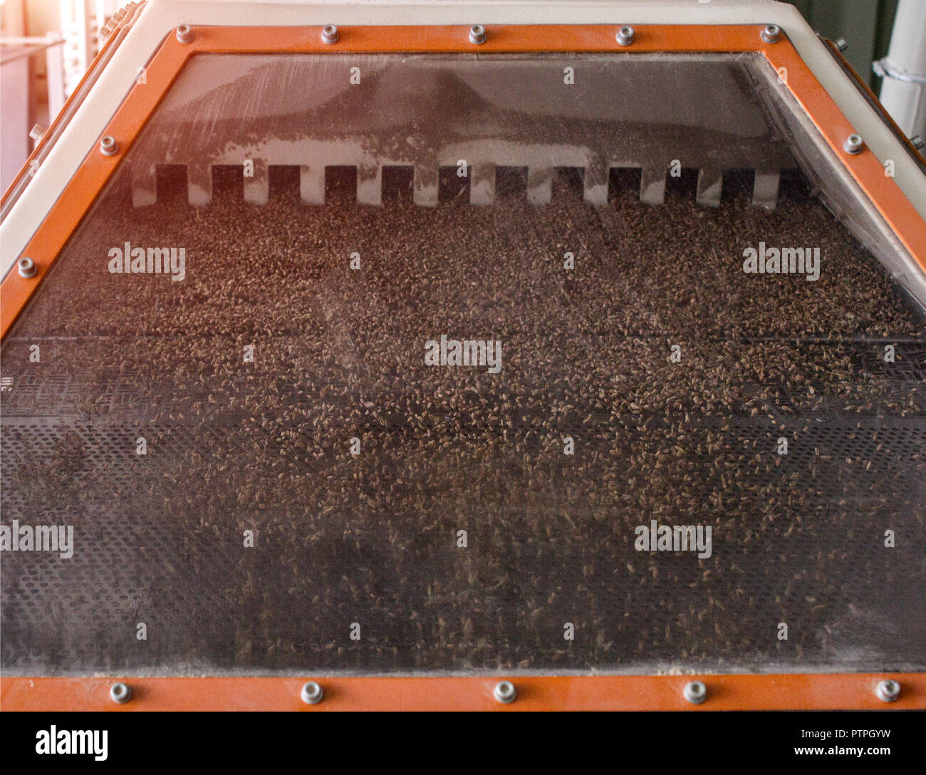 Cleaning food factory hi-res stock photography and images - Alamy