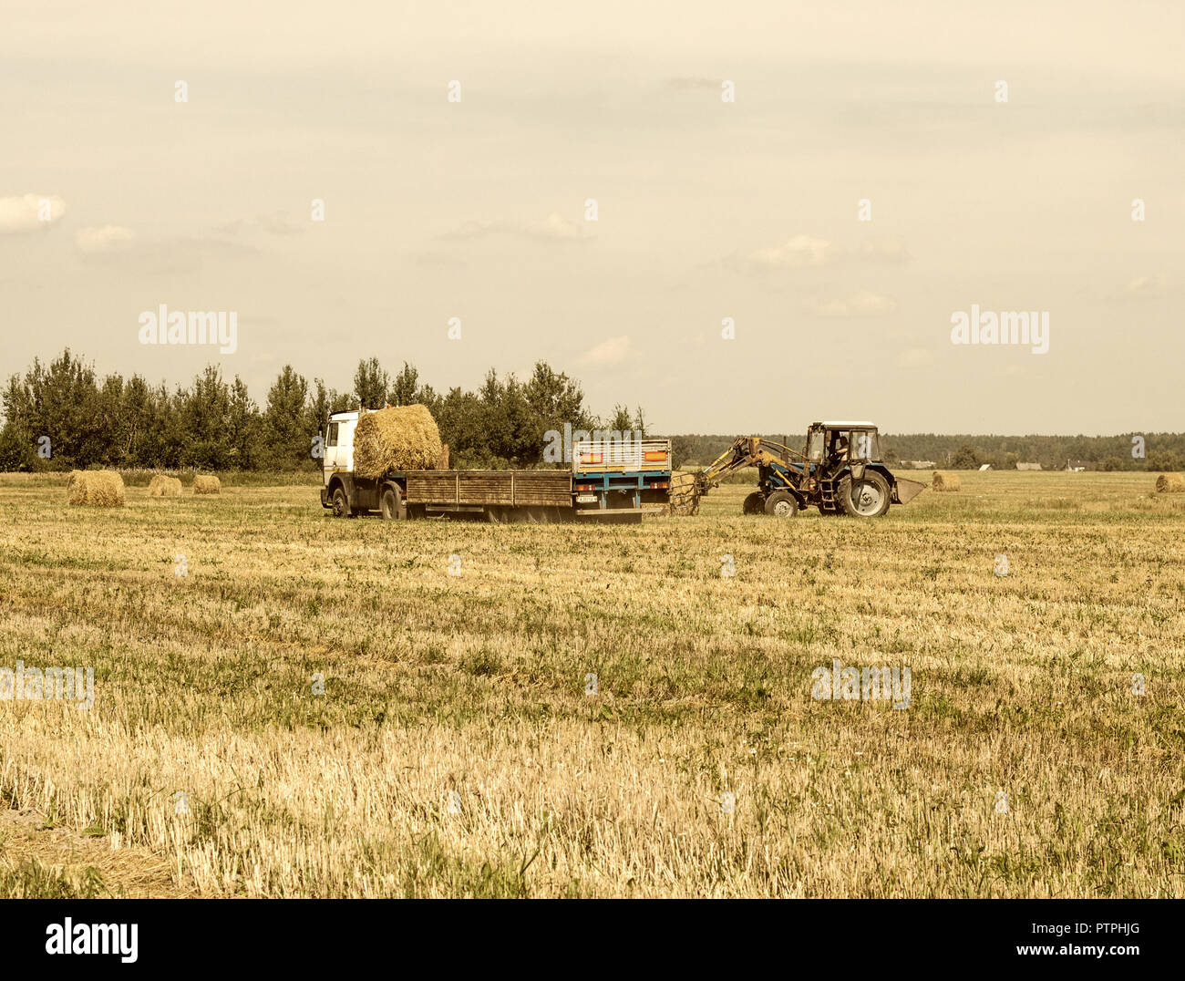 Farmer on a tractor picks haystack and loads bale of hay into the ...