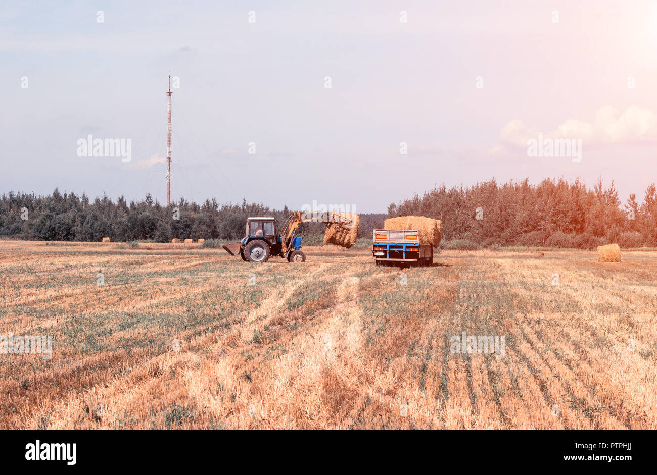 Farmer on a tractor picks haystack and loads bale of hay into the ...