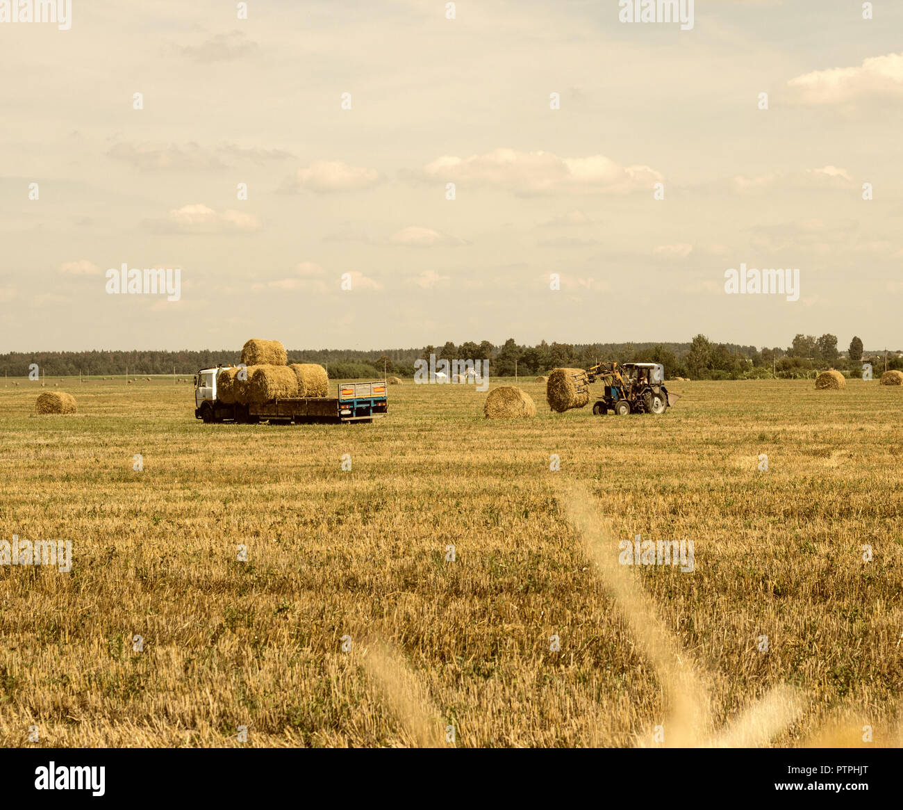 Farmer on a tractor picks haystack and loads bale of hay into the ...