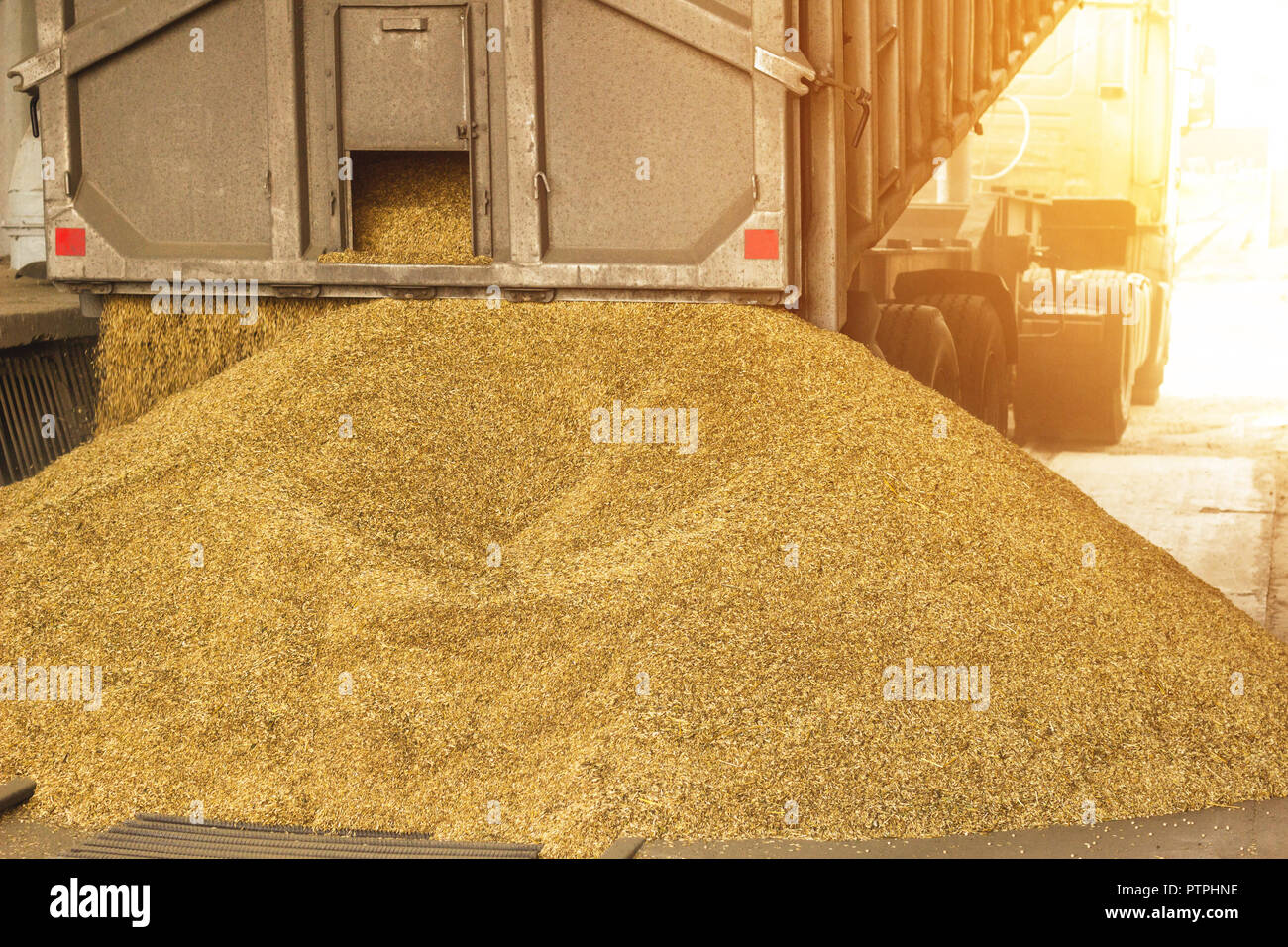 A truck unloads grain at a grain storage and processing plant, a grain ...
