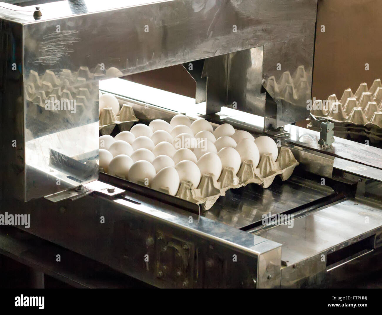 Production for sorting chicken eggs, the process of selection of ...