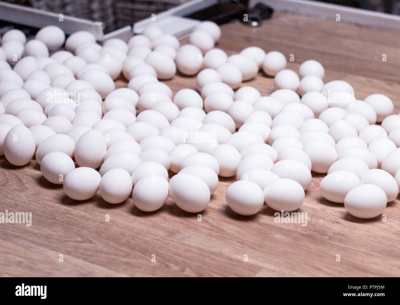 The production of chicken eggs, poultry, chicken eggs go through the ...